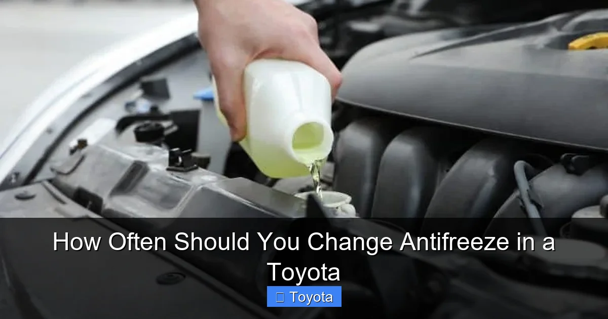 Elegant How Often Change Antifreeze Toyota Pictures