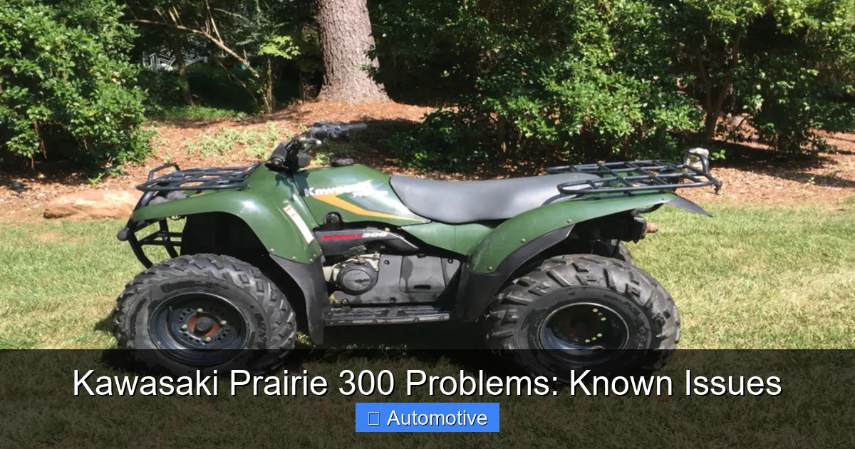 Kawasaki Prairie 300 Problems: Known Issues
